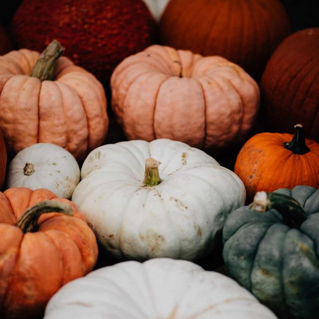 Easy DIY Muted Faux Fall Foliage - A loverly life